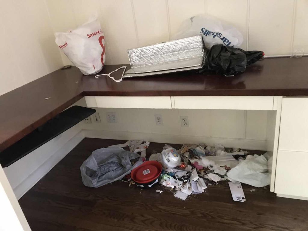 Unbelievable Landlord Property Management Nightmare - Critical Shots